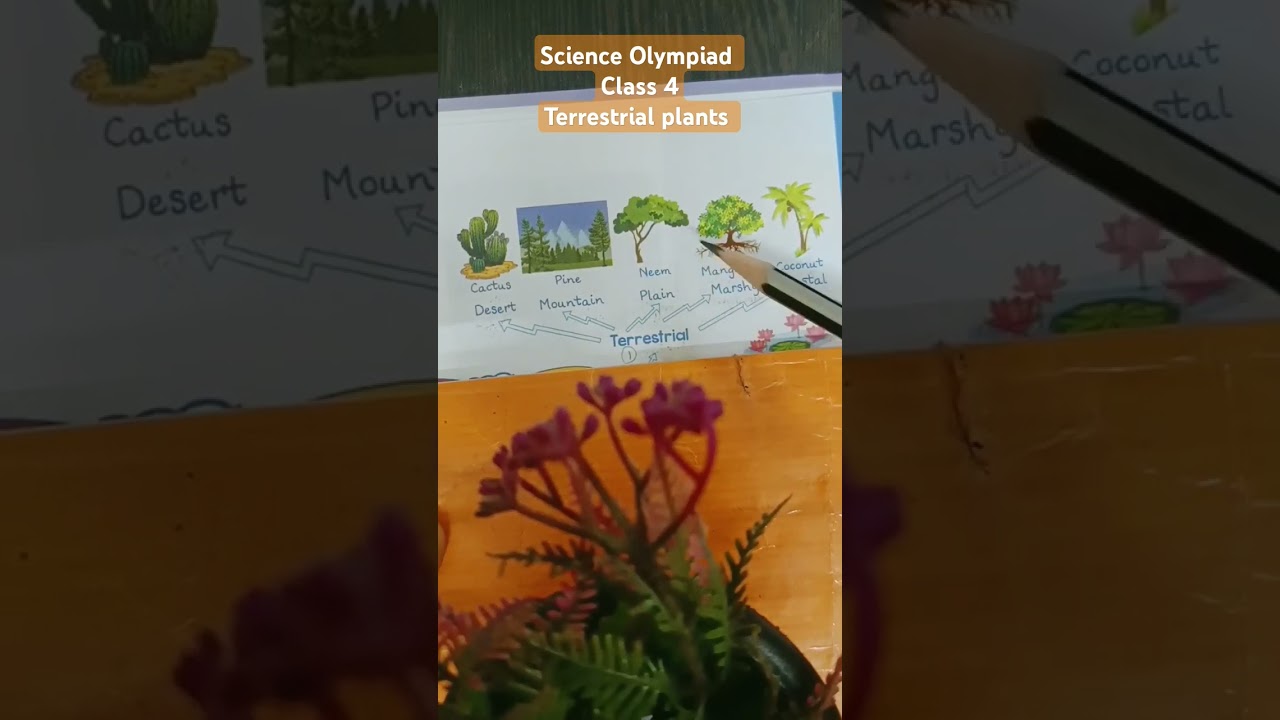 National Science Olympiad- Class 4- Chapter 1- Terrestrial plants #class4 #nationalscienceolympiad
