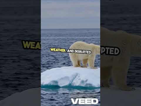 Understanding the Greenhouse Effect!