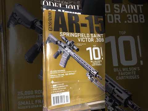 Typical Reddit Gun Mod