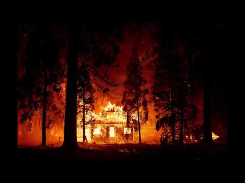 Shinedown - Cut the Cord (Audio)
