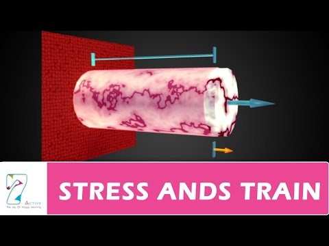Stress and Strain - 1 Video Lecture - Physics for JAMB