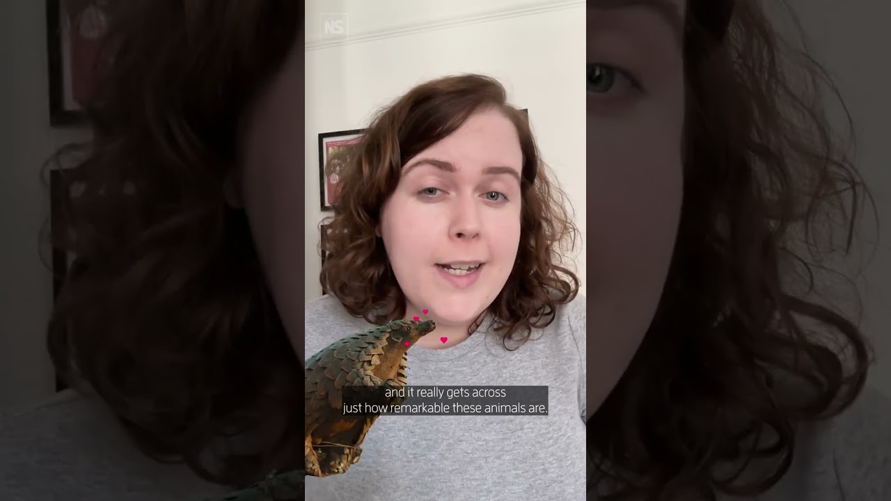 This science documentary is scarier than any horror film you'll see 📺️😱