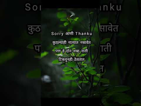 sorry आणी Thanku????#short#motivationalmarathistatus