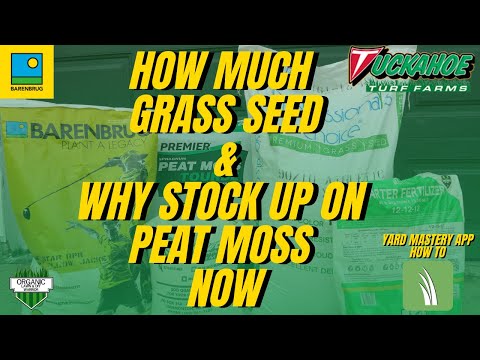 Do Not Buy Cheap Grass Seed & Why Get Peat Moss NOW for Overseed #barnebrug #mountainviewseed