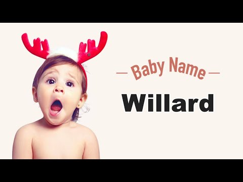 Willard - Boy Baby Name Meaning, Origin and Popularity, 2023