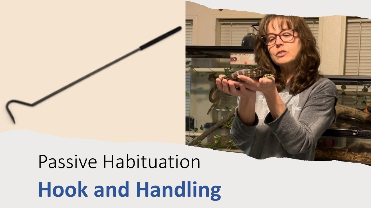 Guided Learning with Pythons: Hook, Handling, Targeting