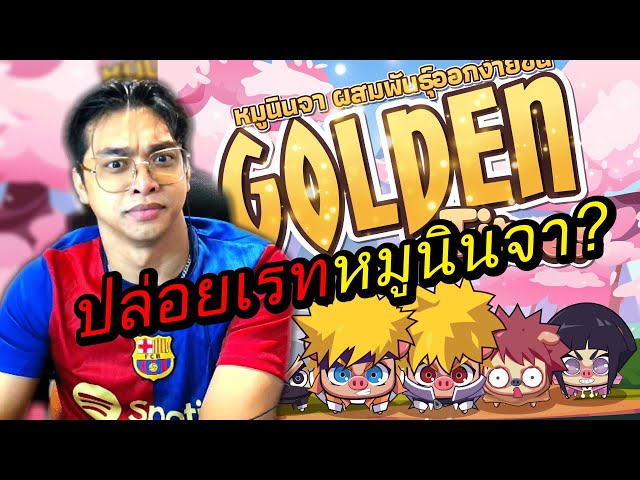 นาทีทอง เพิ่มเรทผสมหมู นินจา?: แฮปปี้คนเลี้ยงหมู Happy Hog Mobile ...