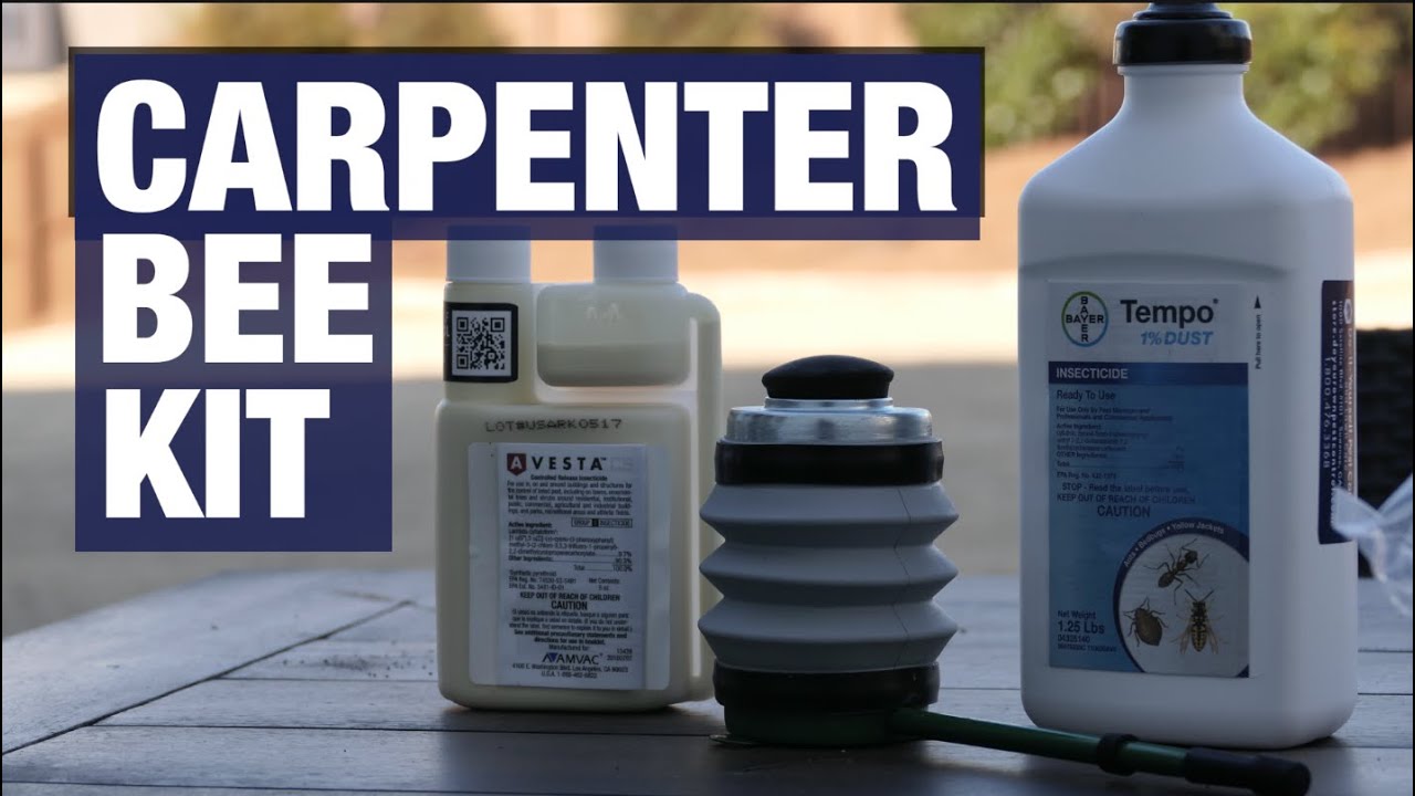 Carpenter Bee Kit