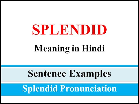 Splendid Meaning in Hindi with Sentence Examples - LearnTogether