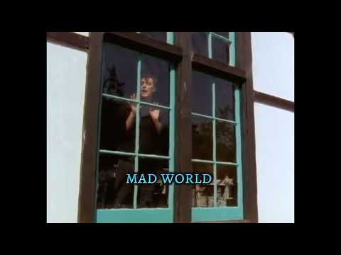 Tears for Fears - Mad World (lyrics)
