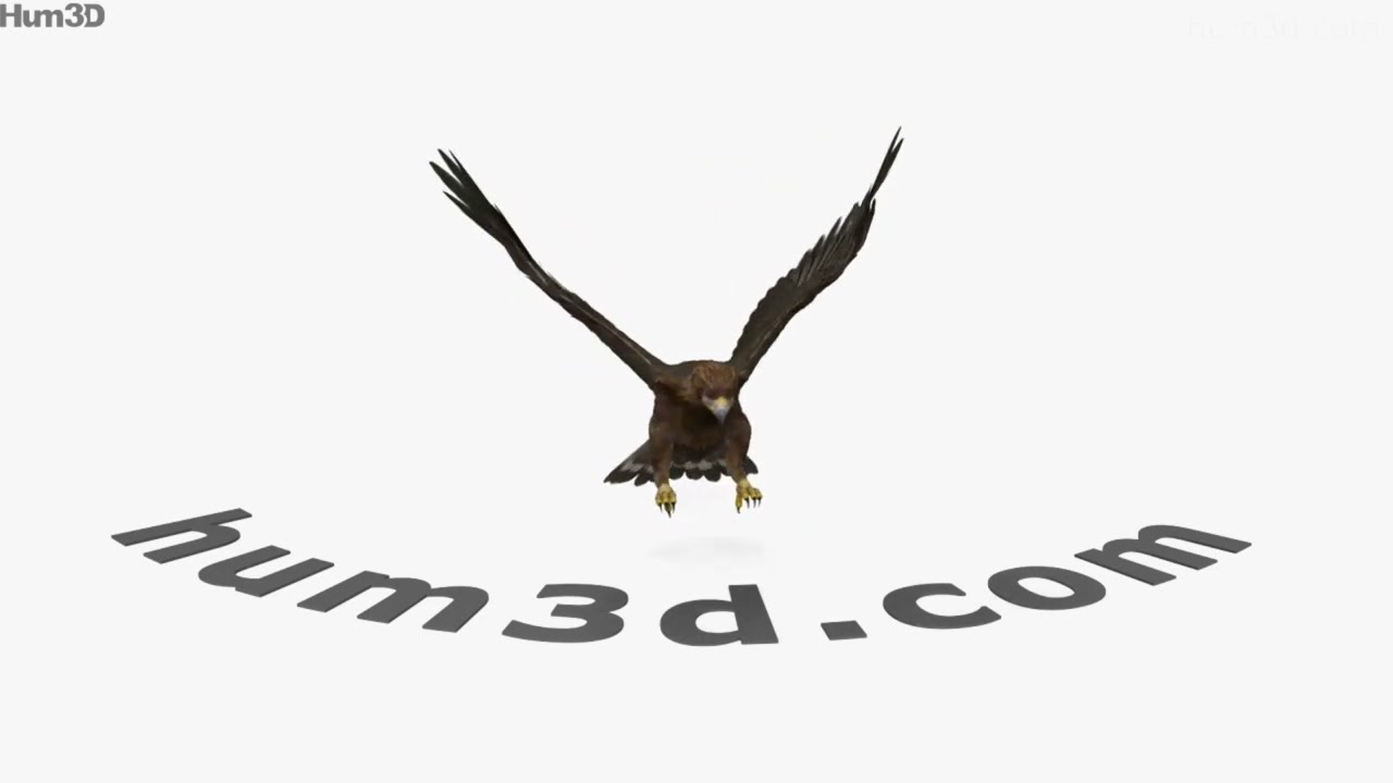 Golden Eagle Attacking 3D model by 3DModels.org