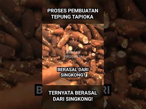 Proses Pembuatan Tepung Tapioka dari Singkong