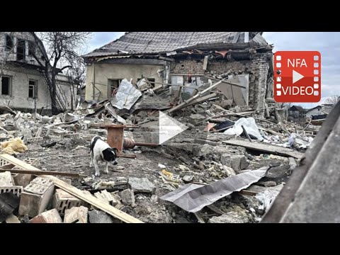 REAL-TIME UPDATE on our daily - hourly - work to save animals in Ukraine!