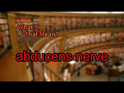 What does abducens nerve mean?