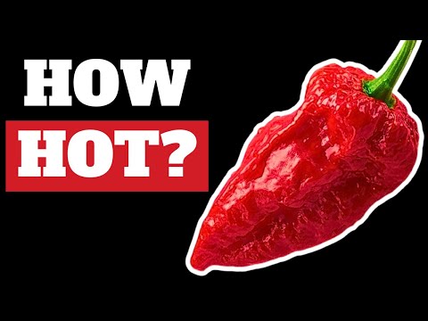 Ghost Pepper on the Scoville Scale