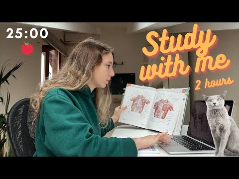 REAL TIME STUDY WITH ME (with music) - 2 HOURS MOTIVATION 💪 | Medmaki