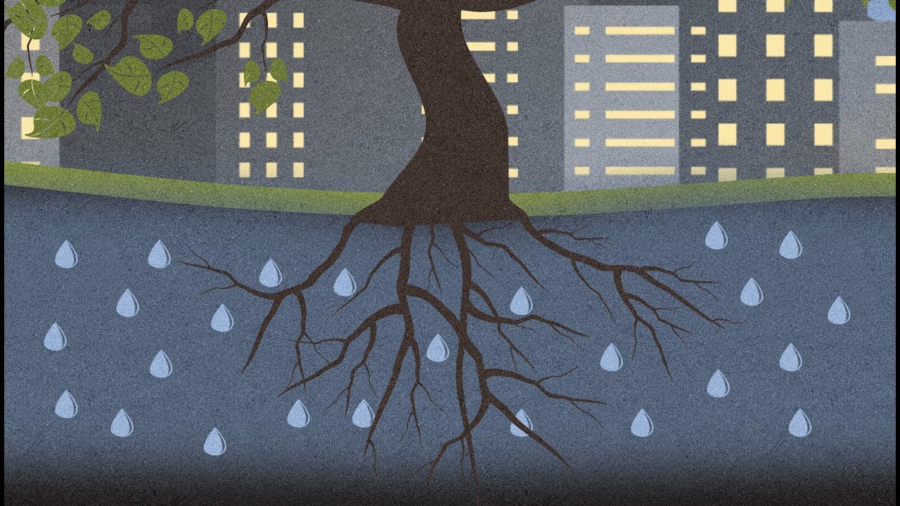 Digging data from dirt