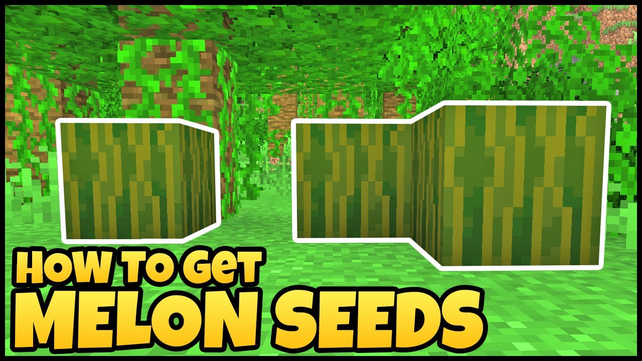 How To Get MELON SEEDS In MINECRAFT