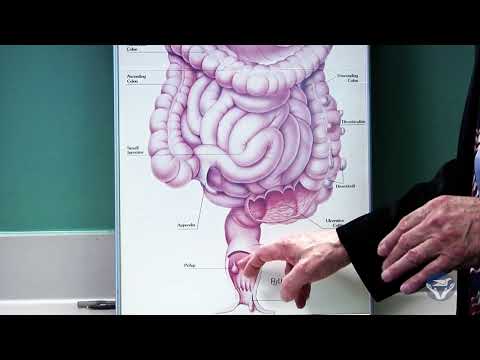SCRMC HealthBreak | Gastroenterology Services