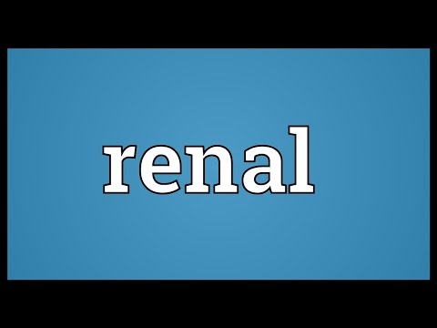 Renal Meaning