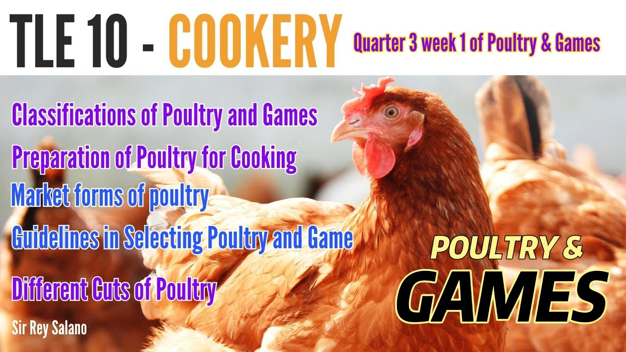 Understanding Poultry and Game: Classifications and Market Forms ...