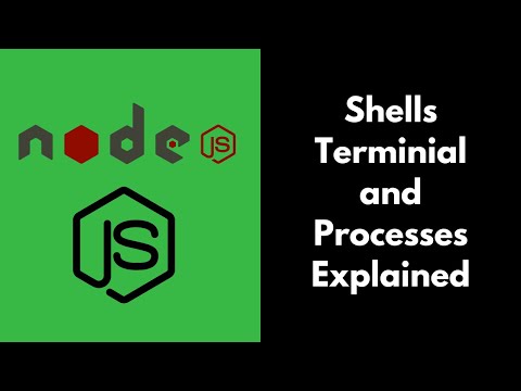 109. Shells, Terminals, and Processes Explained: Bash vs Zsh vs Node.js + Script Demo
