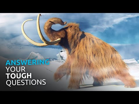 What Does the Bible Say About the ICE AGE?