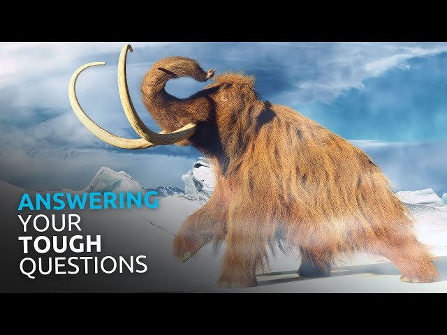 Exploring the Biblical Perspective on the Ice Age | Galaxy