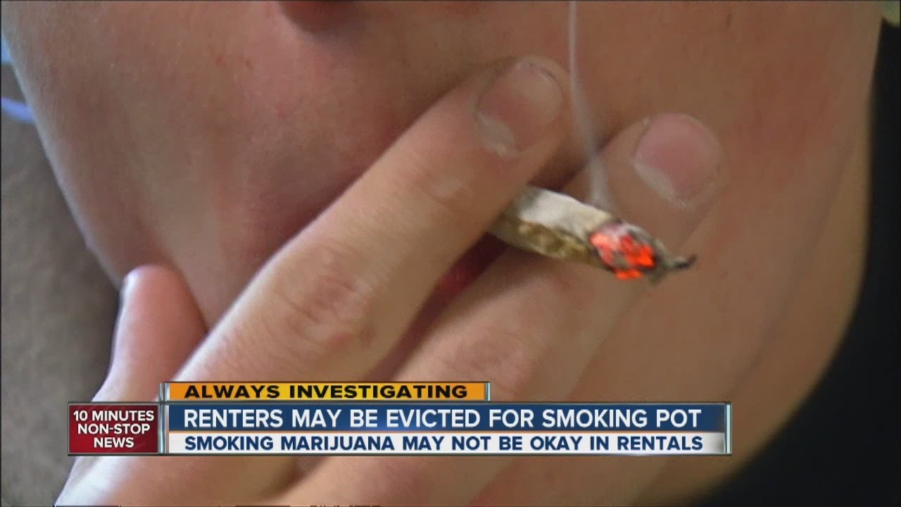 Property owners can evict marijuana smokers, legal experts say
