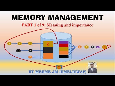 Memory Management | Meaning and Importance