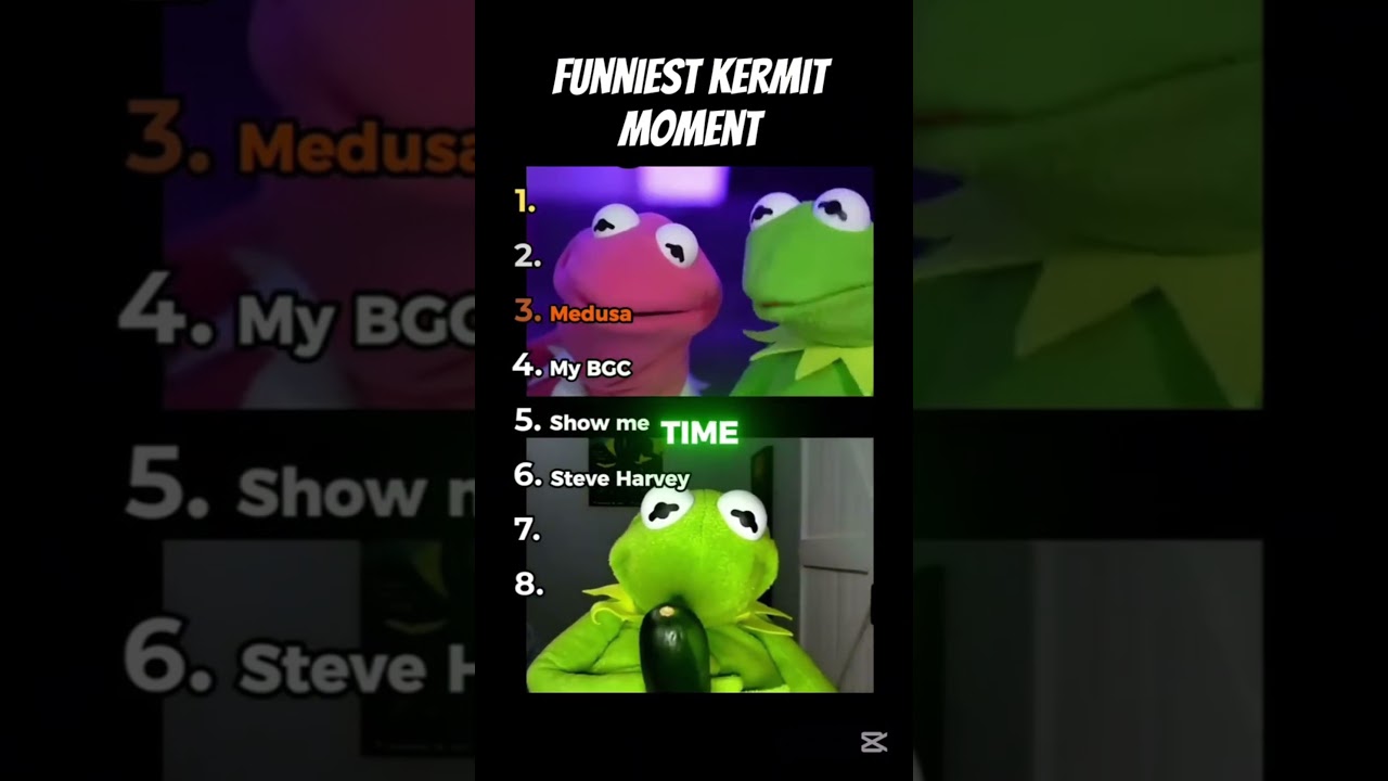 Top 8 Funniest Kermit Omegle Moments