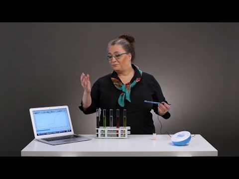 Цифровая лаборатория LabDisc Physio (для кабинета физики)