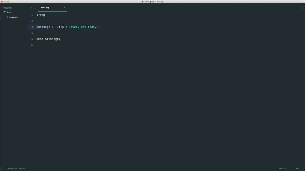 PHP Basics: Data types: Strings (7/35)