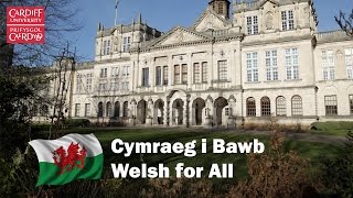Embracing Welsh language culture - Study - Cardiff University