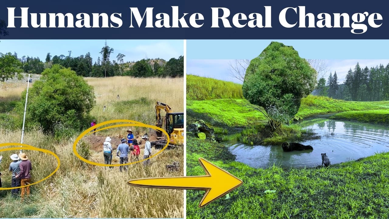 A Pond Changes Everything: Rehydrating a Dry Landscape + Wildlife Returns in 6 Months