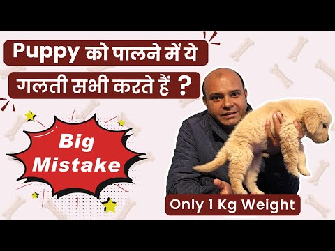 Avoid these mistakes with your Puppy - By Baadal Bhandaari