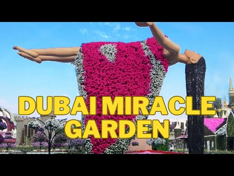 Dubai Miracle Garden 4K