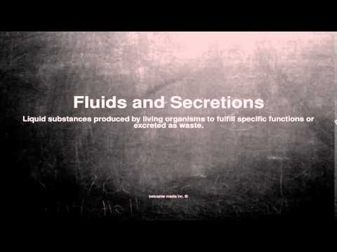 Medical vocabulary: What does Fluids and Secretions mean