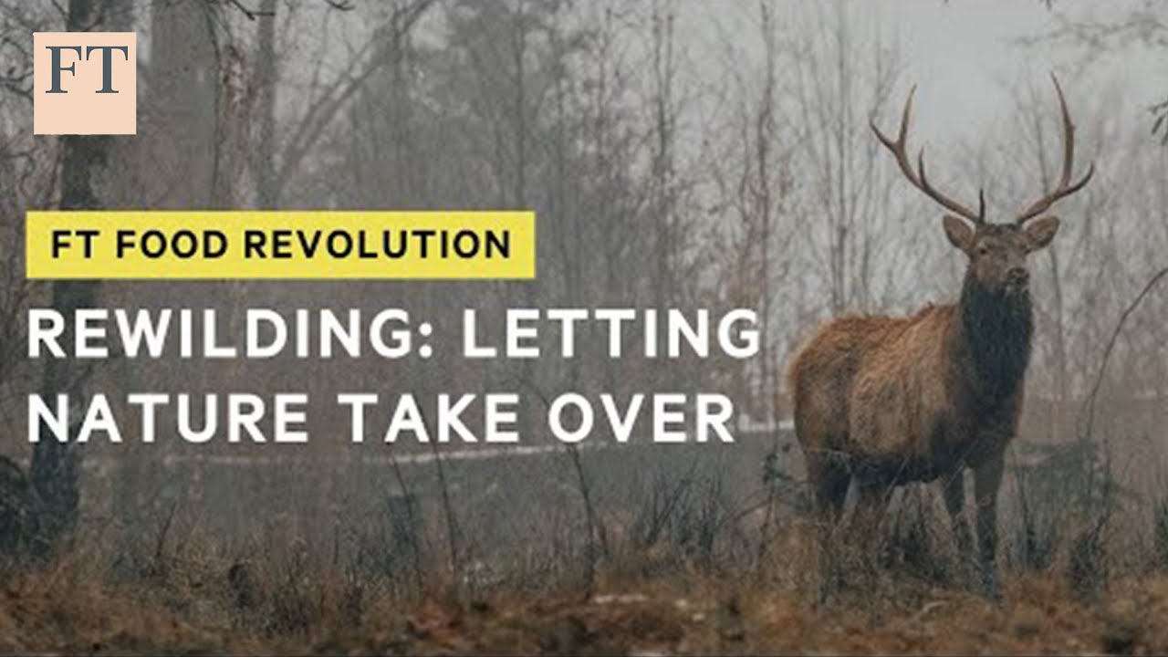 How do you actually rewild a property? | FT Food Revolution
