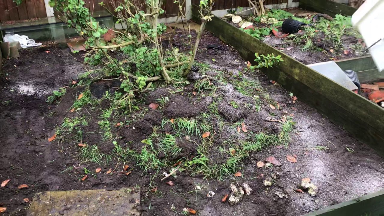 Tortoise enclosure setup seed growing setup care