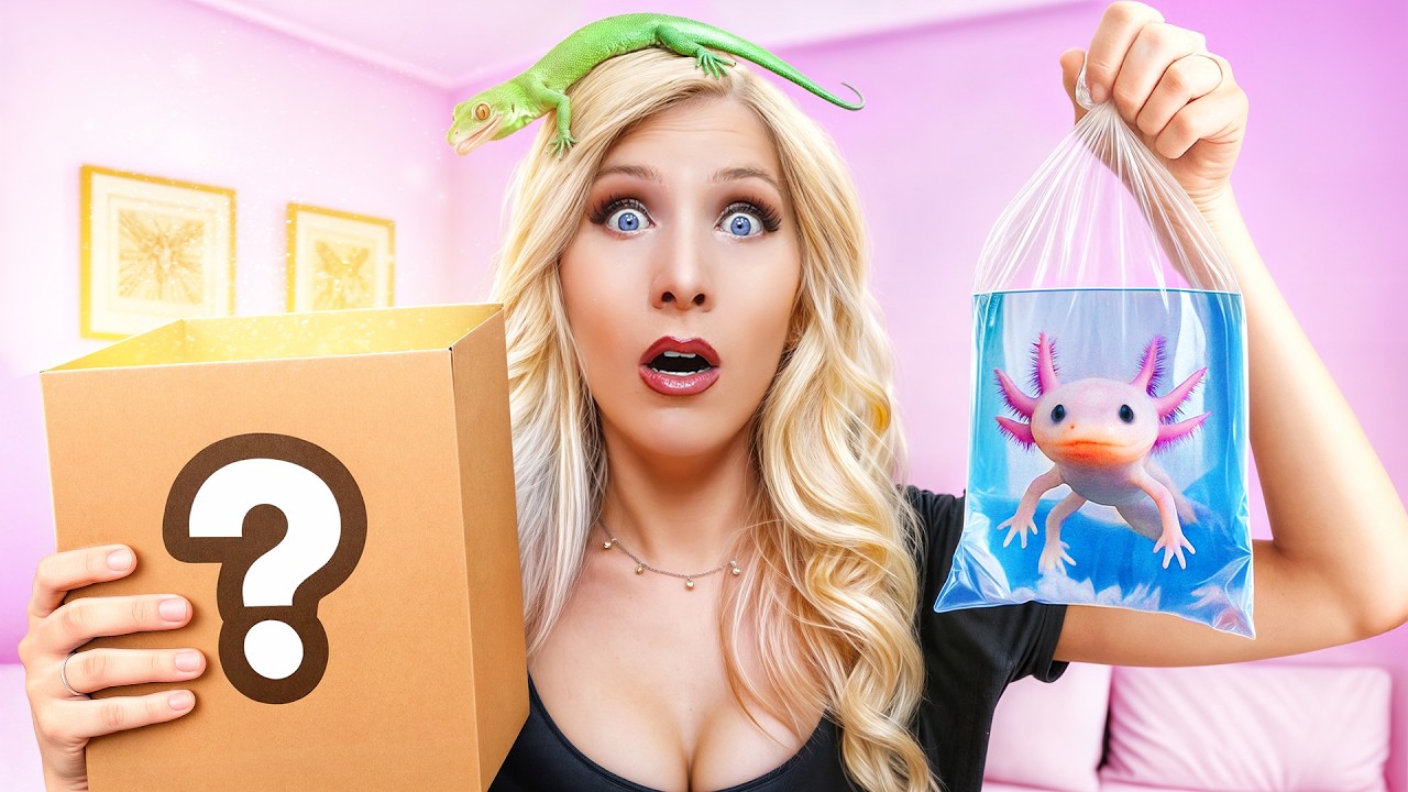 I Bought the World's Strangest Mystery Boxes!
