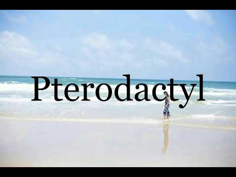 How To Pronounce Pterodactyl🌈🌈🌈🌈🌈🌈Pronunciation Of Pterodactyl