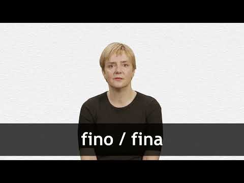 English Translation of “FINA” | Collins Spanish-English Dictionary