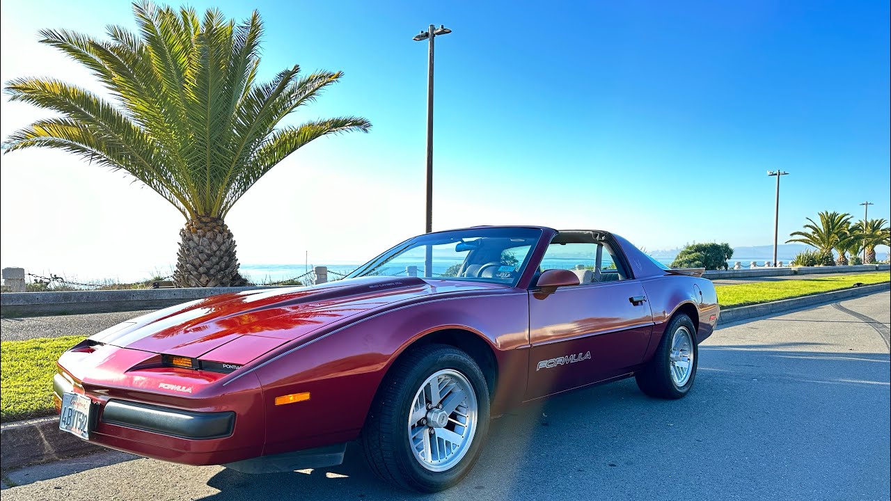 1990 Formula firebird - Survivor!