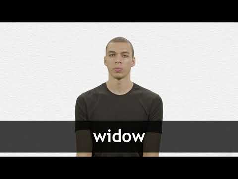 WIDOW definição e significado | Dicionário Inglês Collins