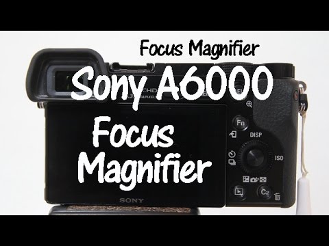 Sony A6000 and A6300 Focus Magnifier