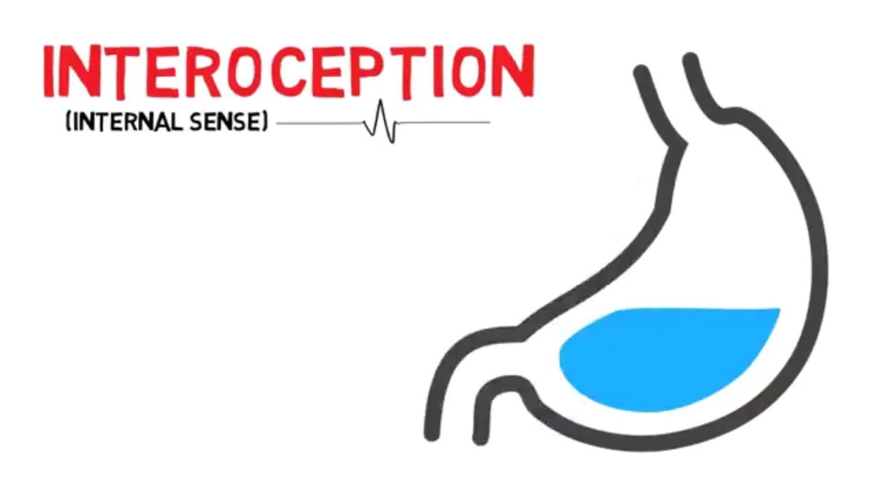 What is Interoception? (internal sense)