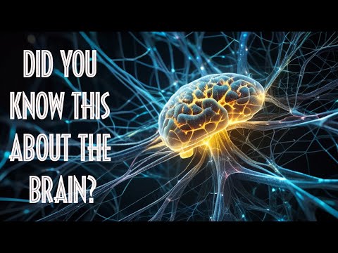 The Limitless Potentials of the Human Brain