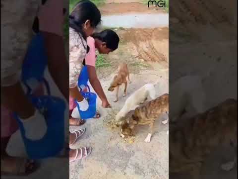 JOY OF TUMMY FILLING