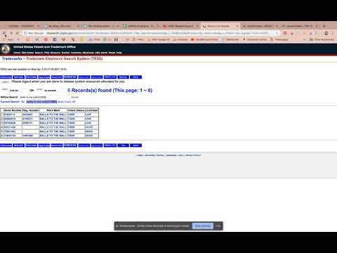 How to use the US Trademark Database Website USPTO - with business expert Sara Michaels